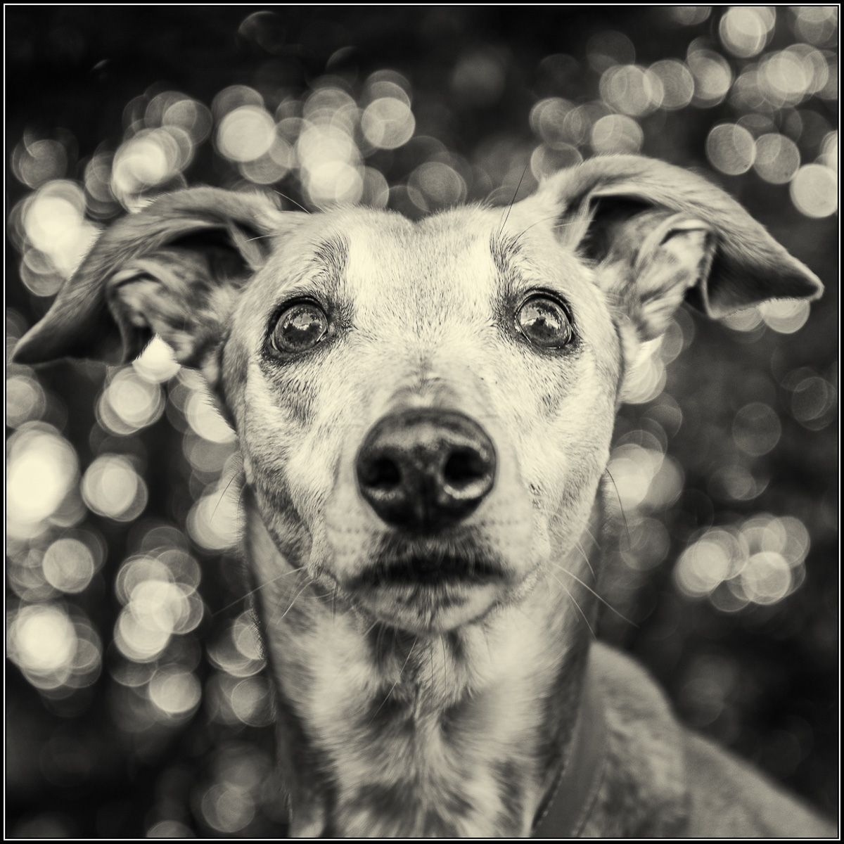 Annual Digital Image Competition: The Living World - Bishopthorpe ...