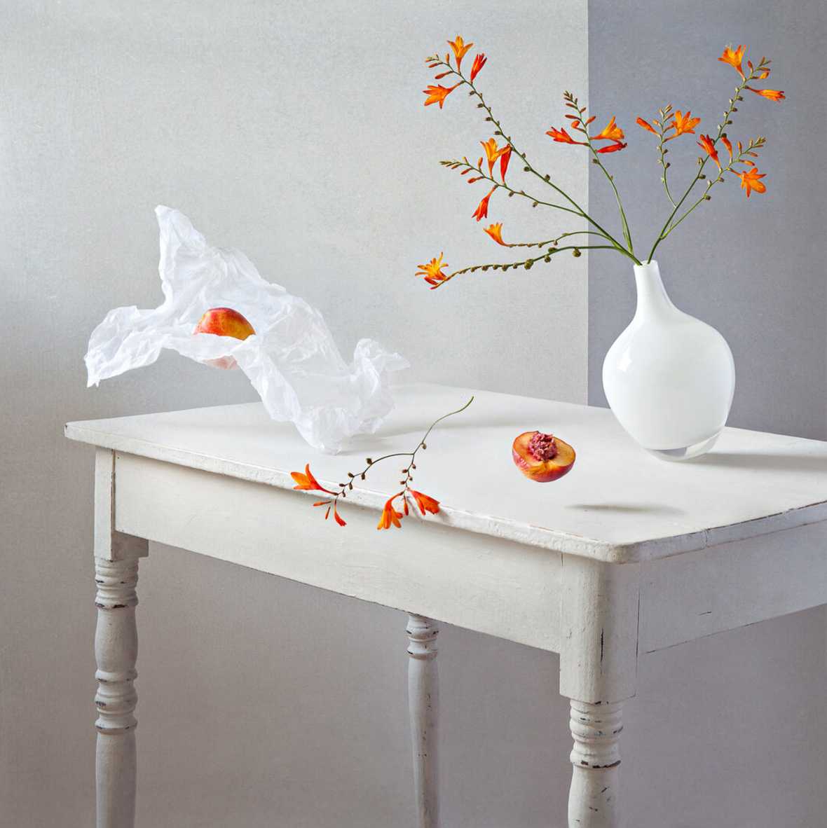 Polina Plotnikova: 'Starting From a Blank Canvas' - Bishopthorpe Camera ...