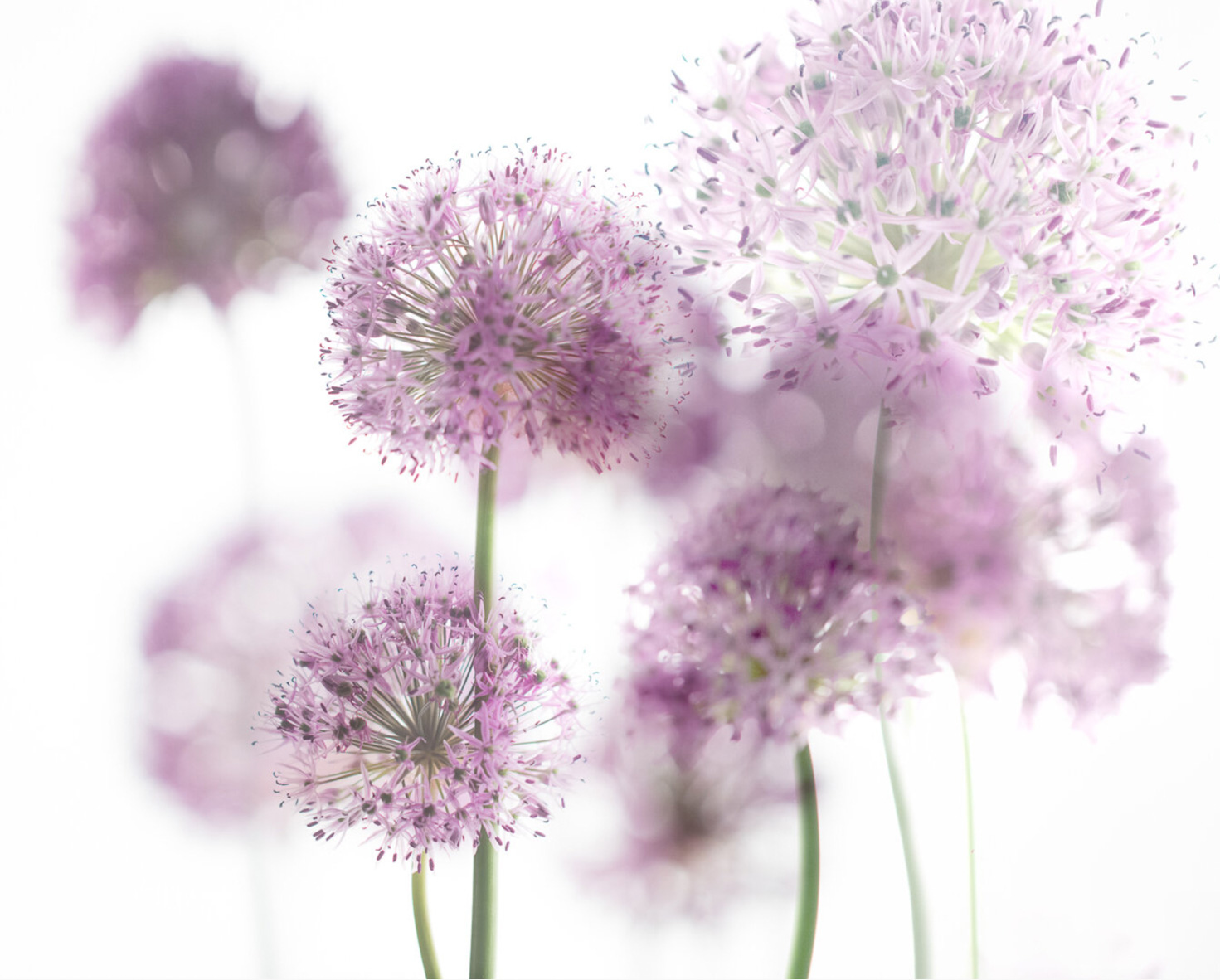 Polina Plotnikova: 'Starting From a Blank Canvas' - Bishopthorpe Camera ...
