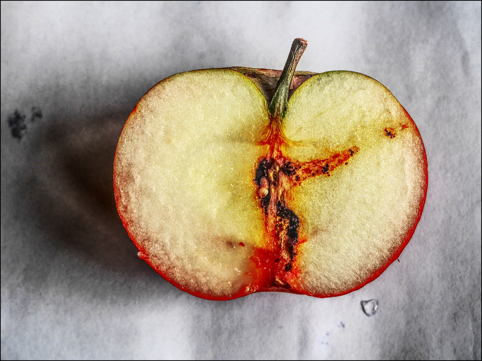 Annual Digital Image Competition 2022: The Living World - Bishopthorpe ...