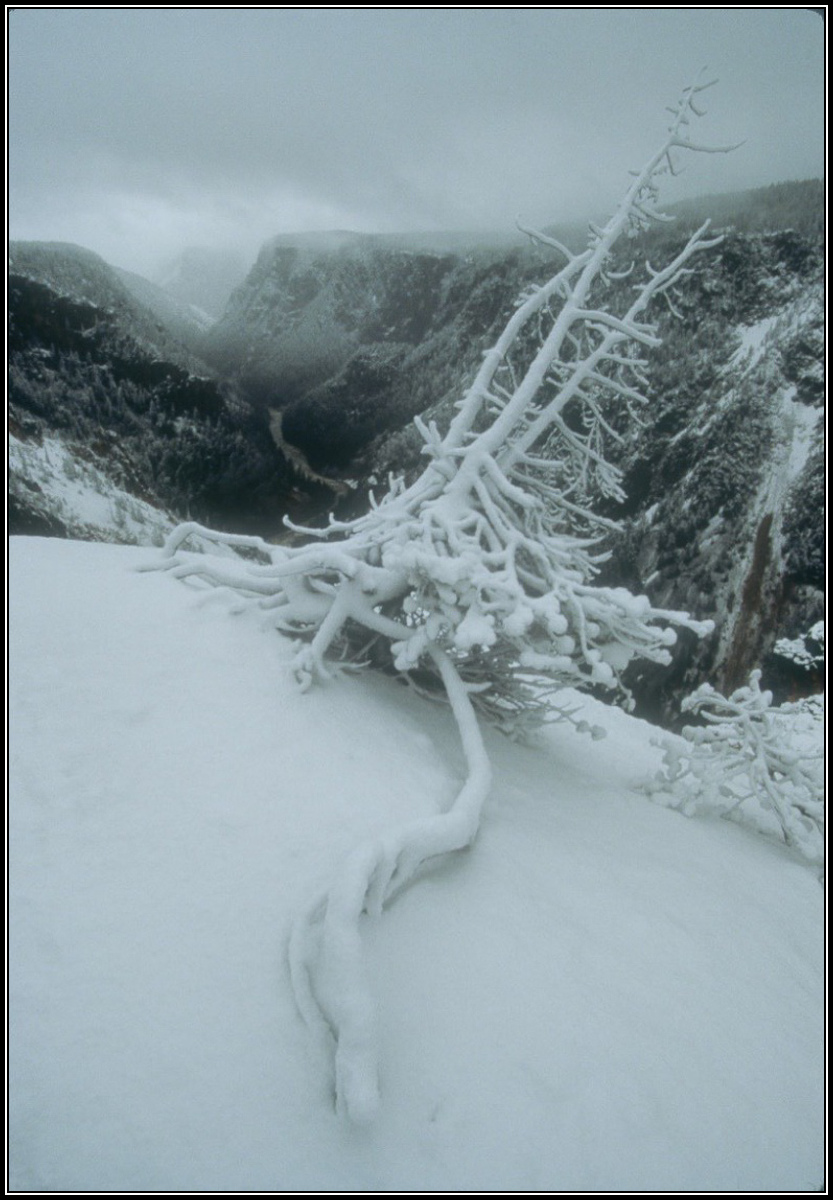 Steve Fuller: A Foot in Two Worlds - Bishopthorpe Camera Club