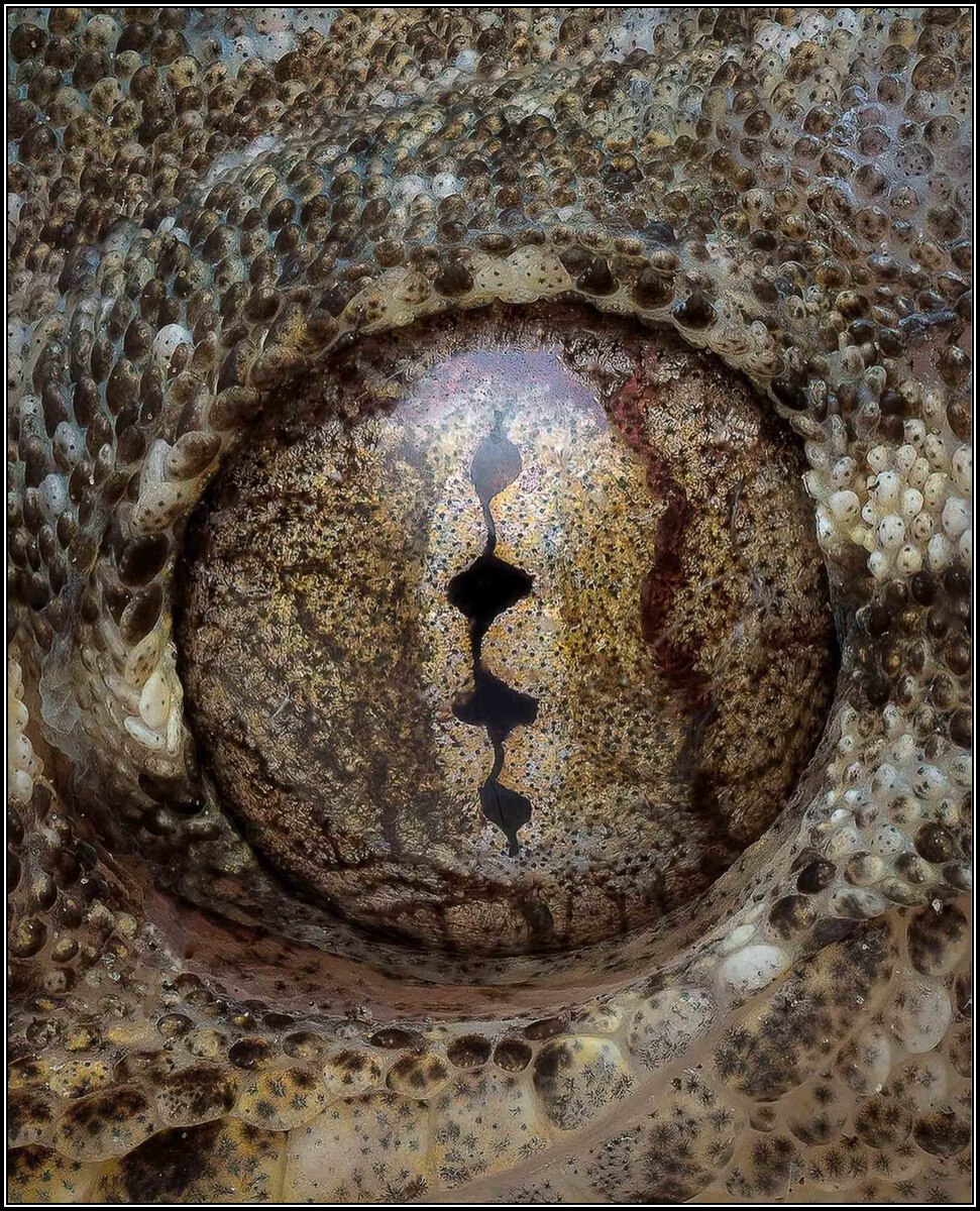 Jamie Hall: It's a Wonderful, Tiny World - Bishopthorpe Camera Club
