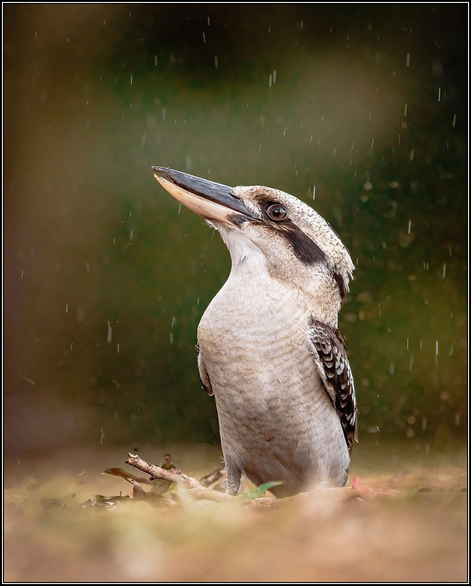 Jamie Hall: It's a Wonderful, Tiny World - Bishopthorpe Camera Club