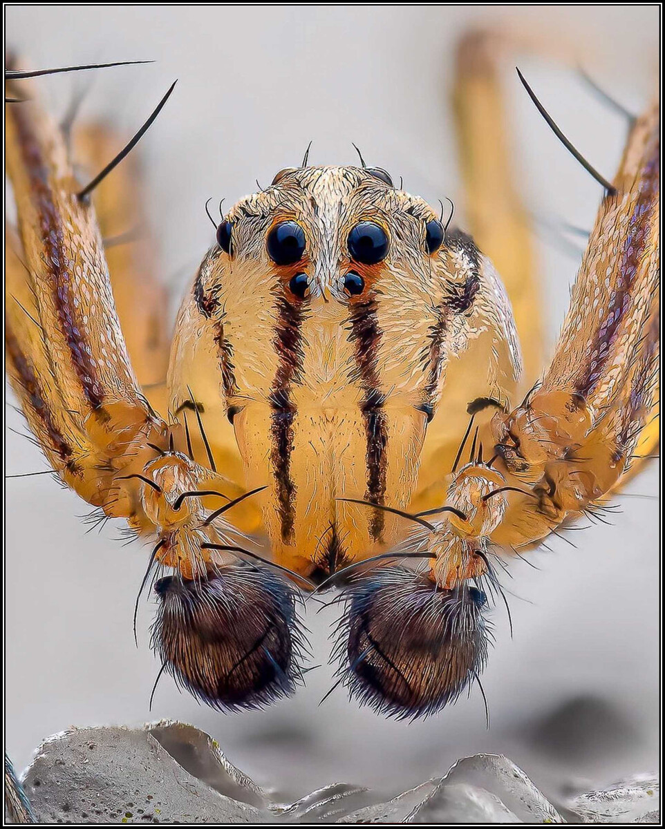 Jamie Hall: It's a Wonderful, Tiny World - Bishopthorpe Camera Club